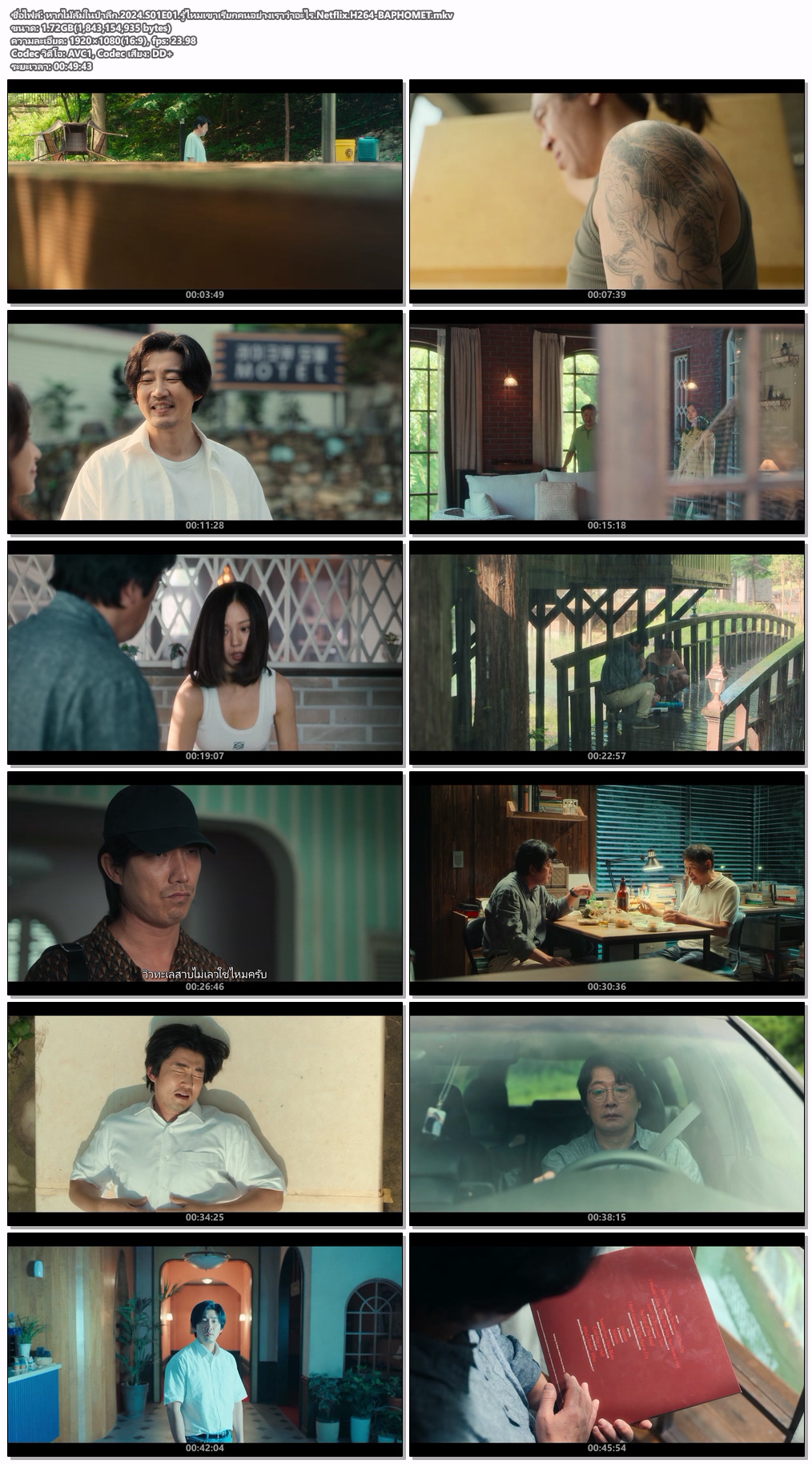 The Frog (TV Series 2024) หากไม้ล้มในป่าลึก | LoadHiDef เว็บโหลดหนัง ...