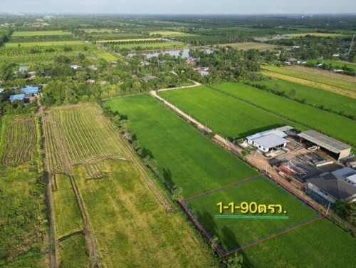 167741pic2 - pic.in.th