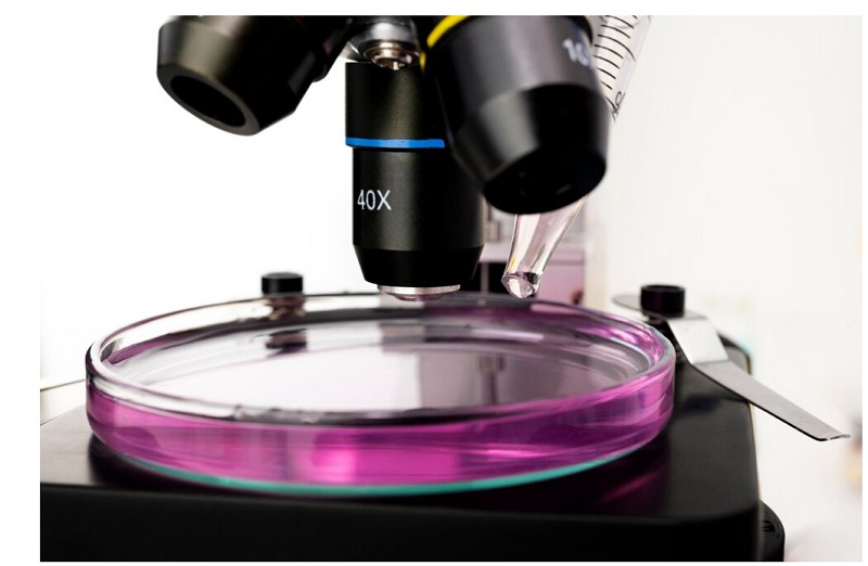 Gas Chromatography คืออะไร สามารถใช้แยกสารผสมตัวไหนได้บ้าง